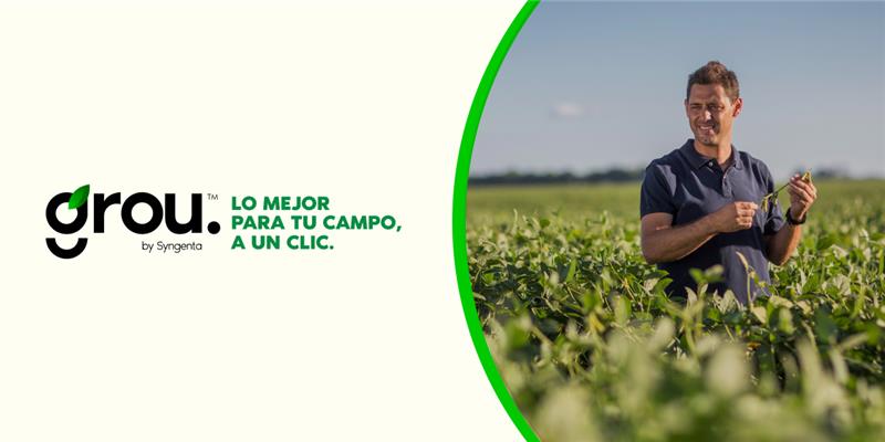 Syngenta presentó Grou, su innovadora plataforma de e-commerce en ...