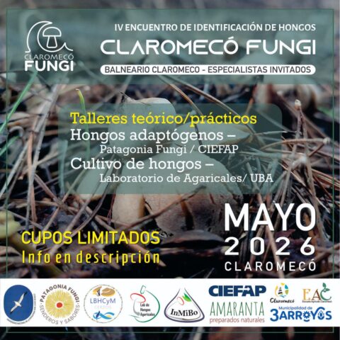 El fascinante mundo de los hongos se da cita en Claromecó Fungi 2026 ...